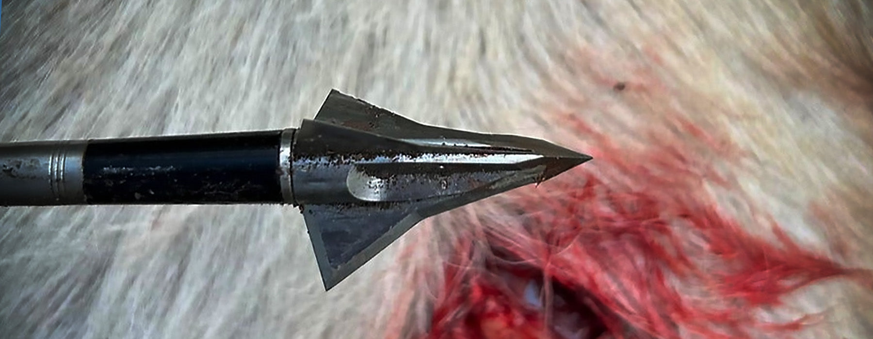 Kayuga Broadheads | Premium Hunting Broadheads | Venture Hunting