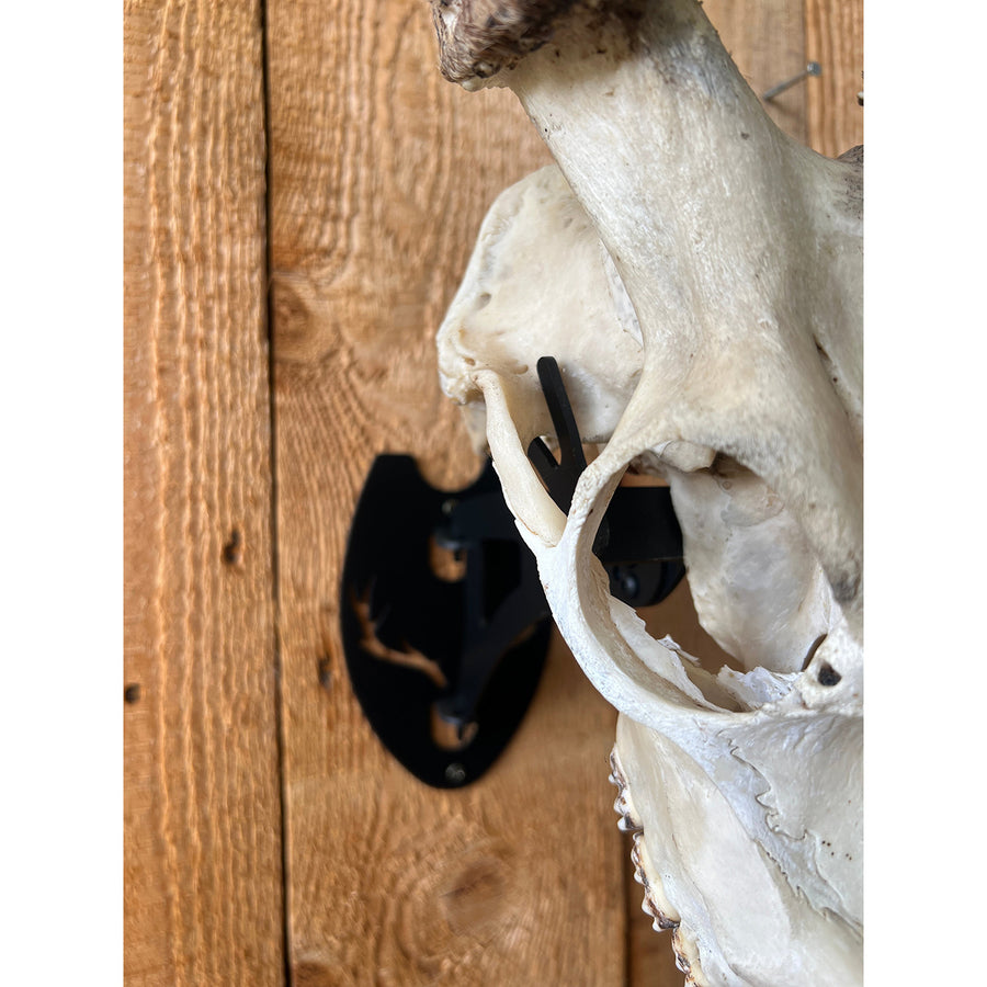 Aussie Skull Mounts - Universal Long Arm – Venture Hunting